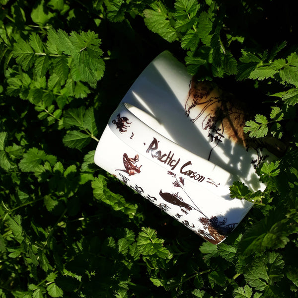 Rachel Carson Mug – Stokes Croft China & PRSC Shop